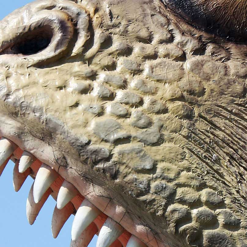 Zoomed In 2 nível 78 • Game Solver