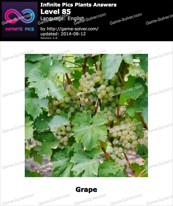 Infinite Pics Plants Level 85 • Game Solver