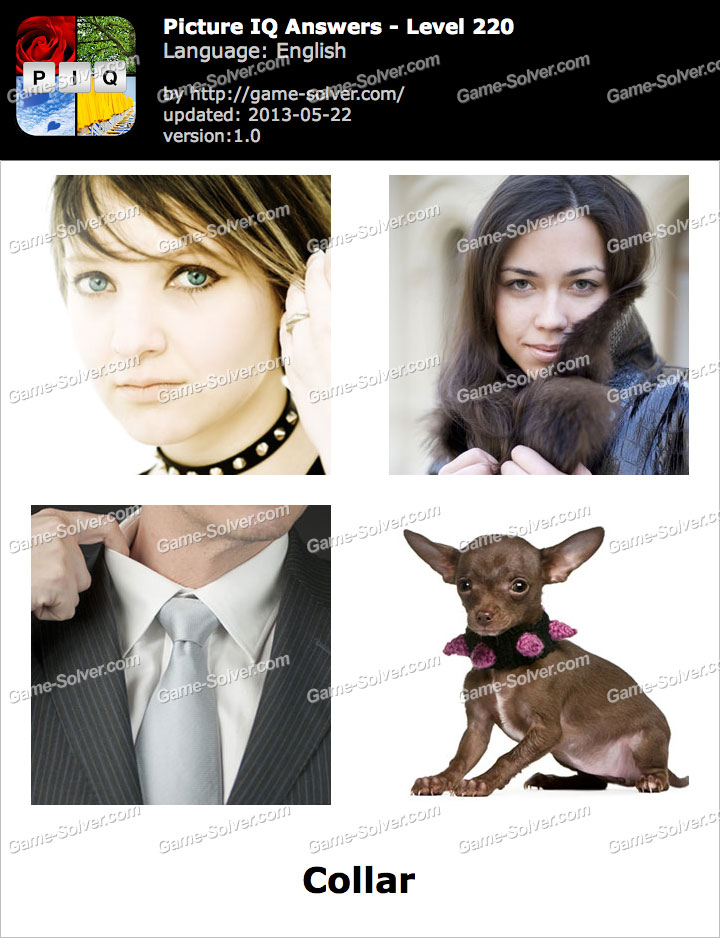 Picture IQ Level 220 • Game Solver