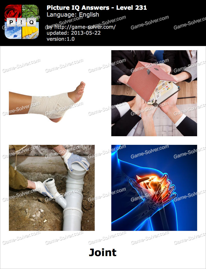 Picture IQ Level 231 • Game Solver