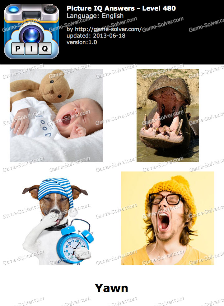 Picture IQ Level 480 • Game Solver