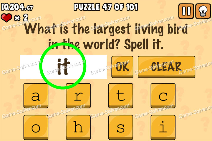 Whats My IQ Level 47 • Game Solver