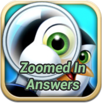 Zoomed In Answers - Game Solver