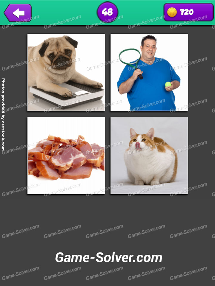 Pic The Word Level 48 • Game Solver