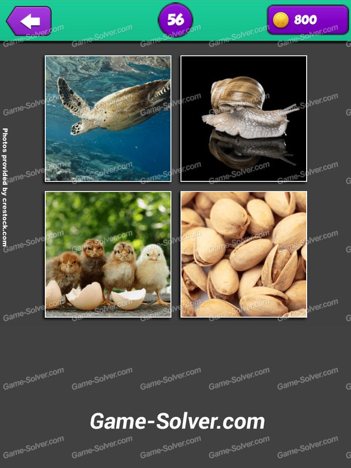 Pic The Word Level 56 • Game Solver