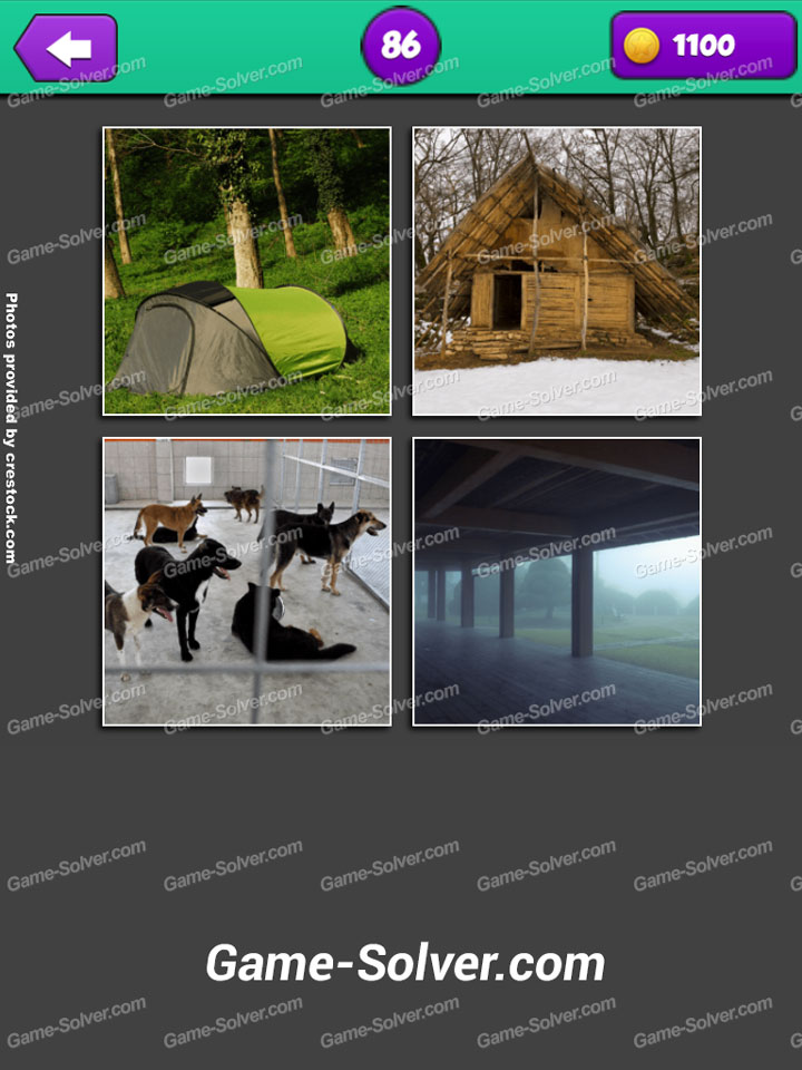 Pic The Word Level 86 • Game Solver