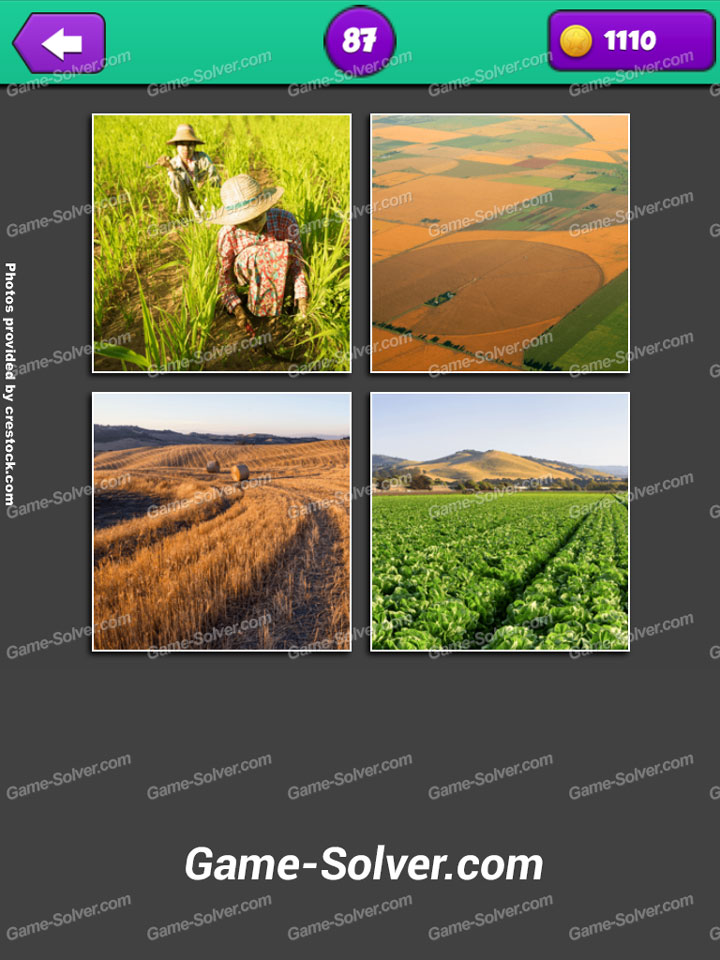 Pic The Word Level 87 • Game Solver