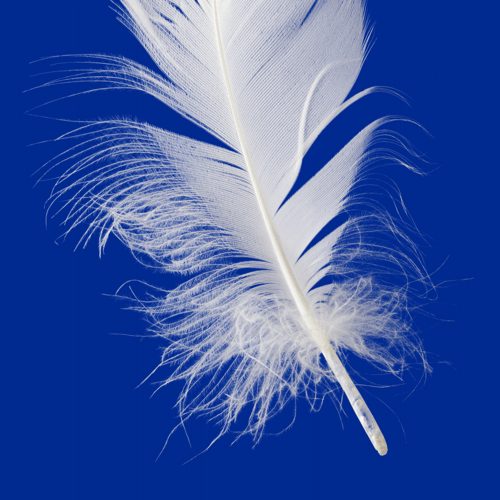 Whats Behind Level 108 • Game Solver