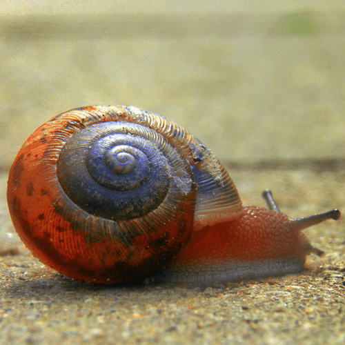 Whats Behind Level 73 • Game Solver