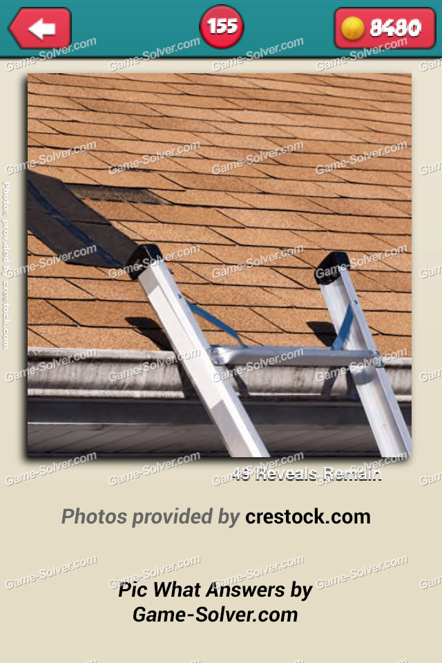 Pic What Level 155 • Game Solver