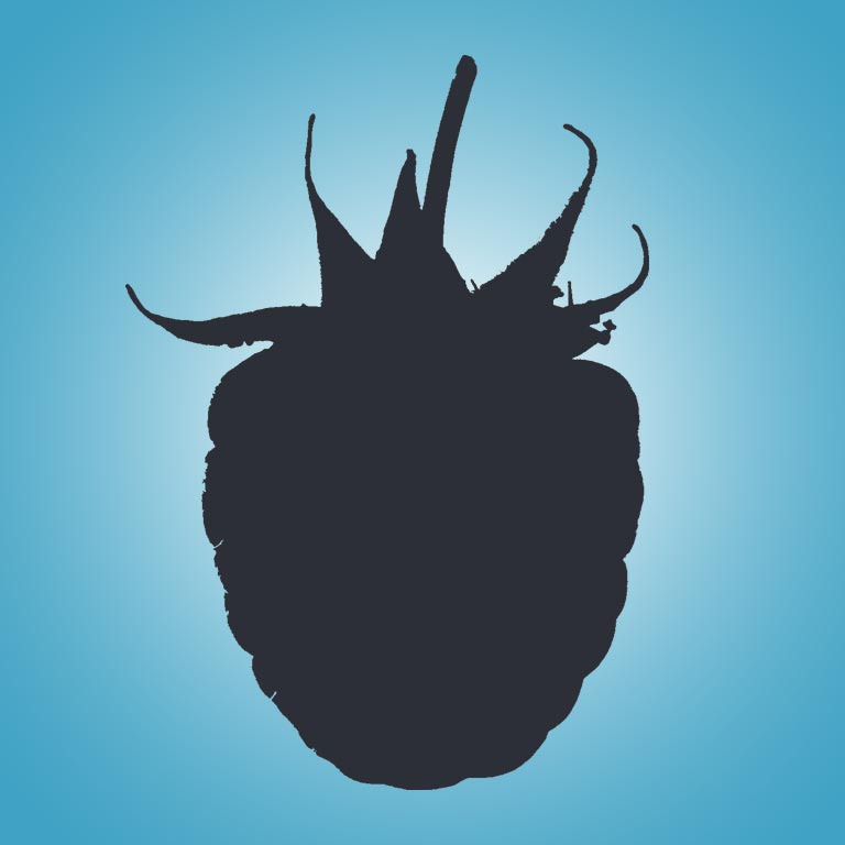 Shadow Shapes Level 157 • Game Solver