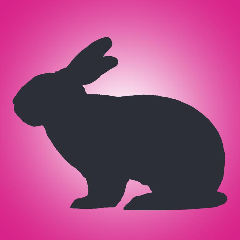 Shadow Shapes Level 80 • Game Solver