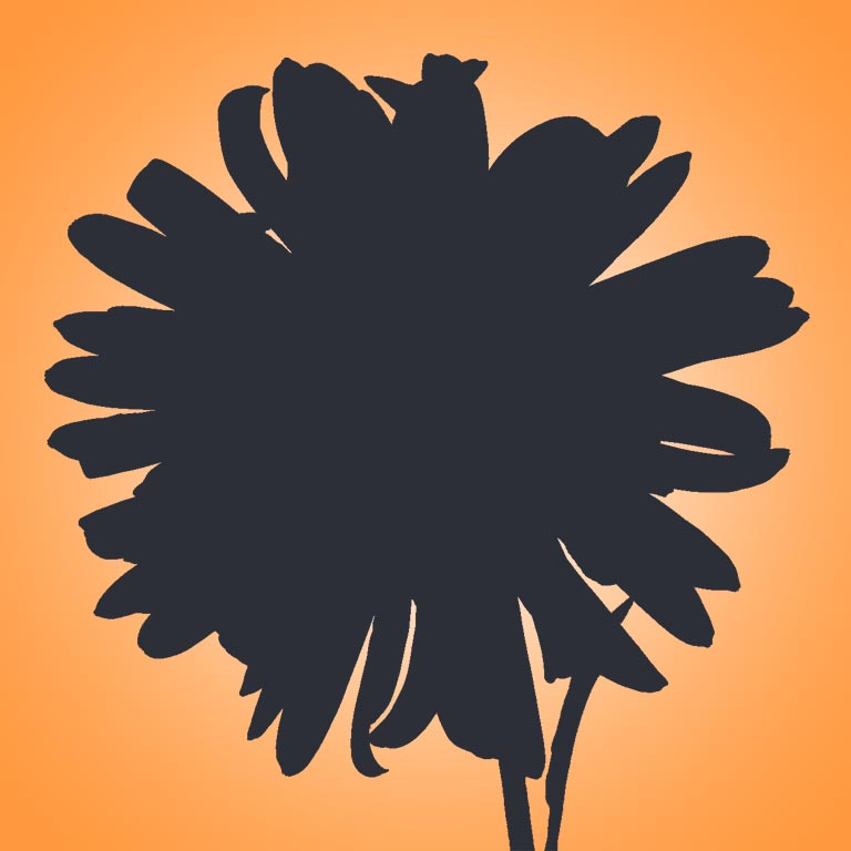 Shadow Shapes Level 38 • Game Solver