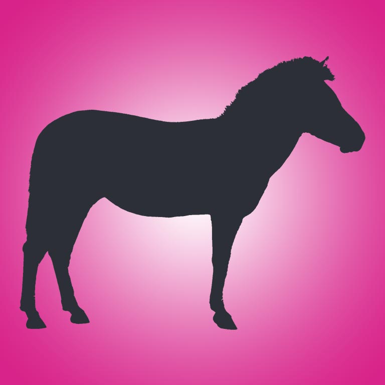 Shadow Shapes Level 177 • Game Solver