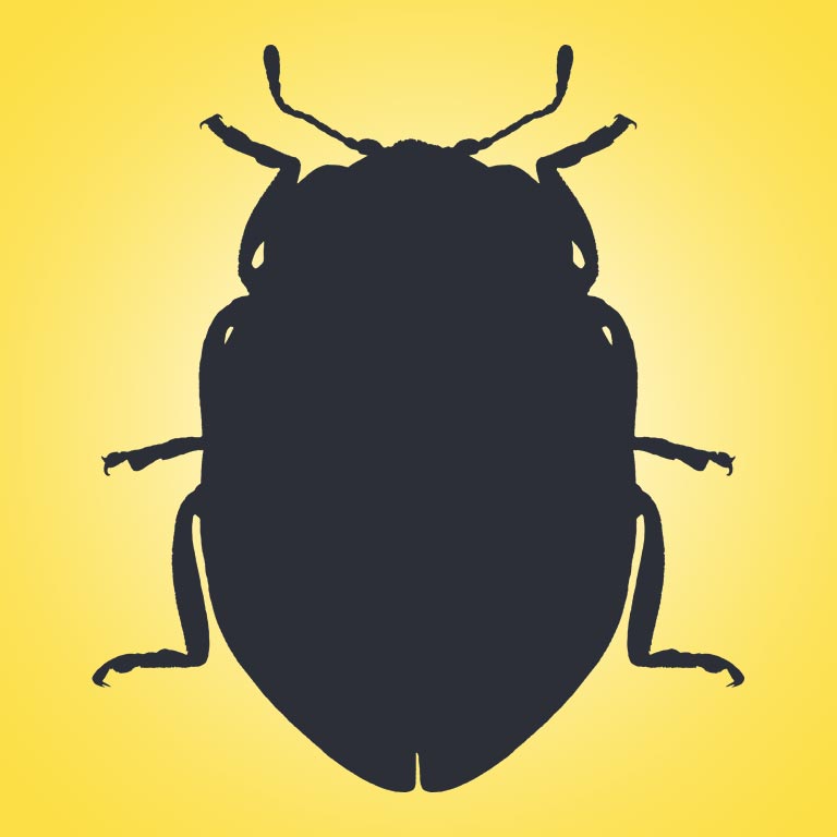 Shadow Shapes Level 196 • Game Solver