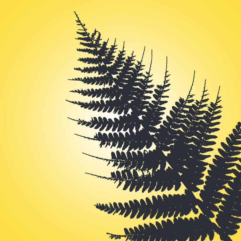 Shadow Shapes Level 235 • Game Solver