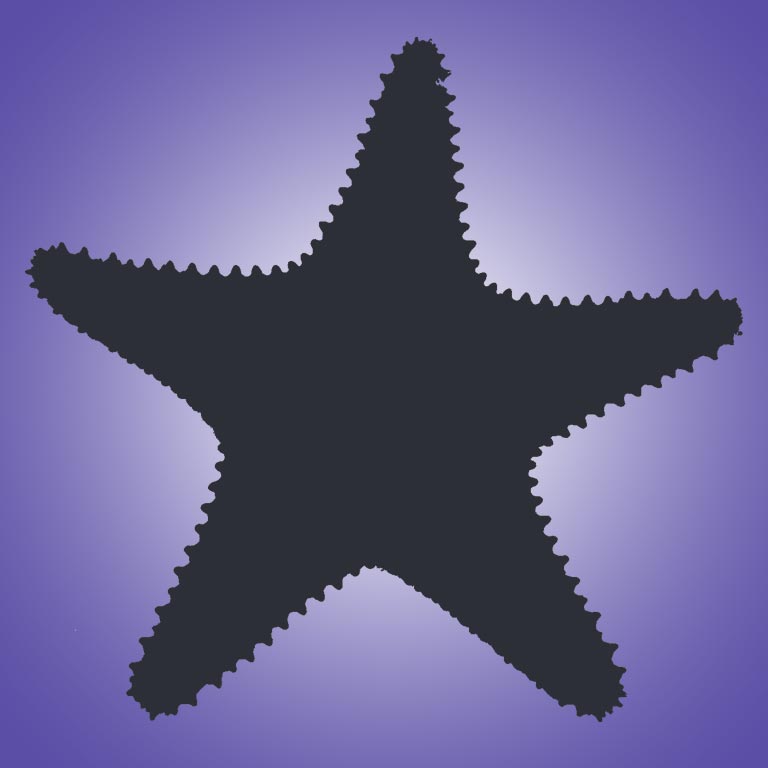 Shadow Shapes Level 33 • Game Solver