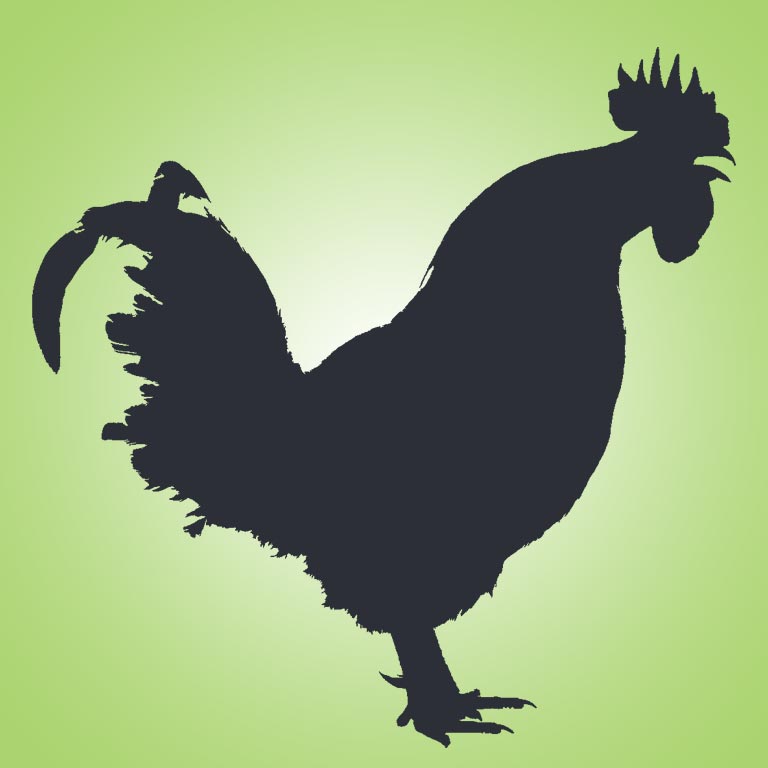 Shadow Shapes Level 95 • Game Solver