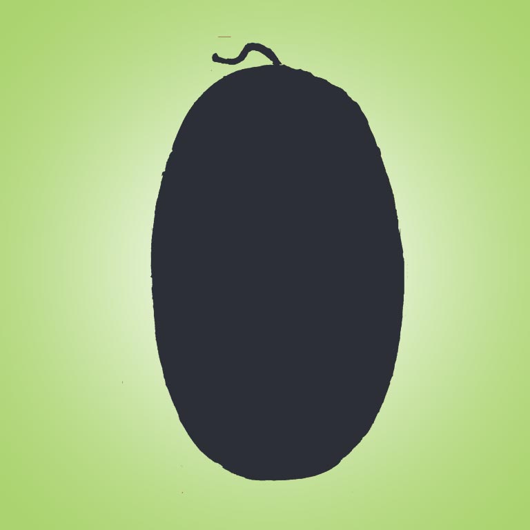 Shadow Shapes Level 22 • Game Solver