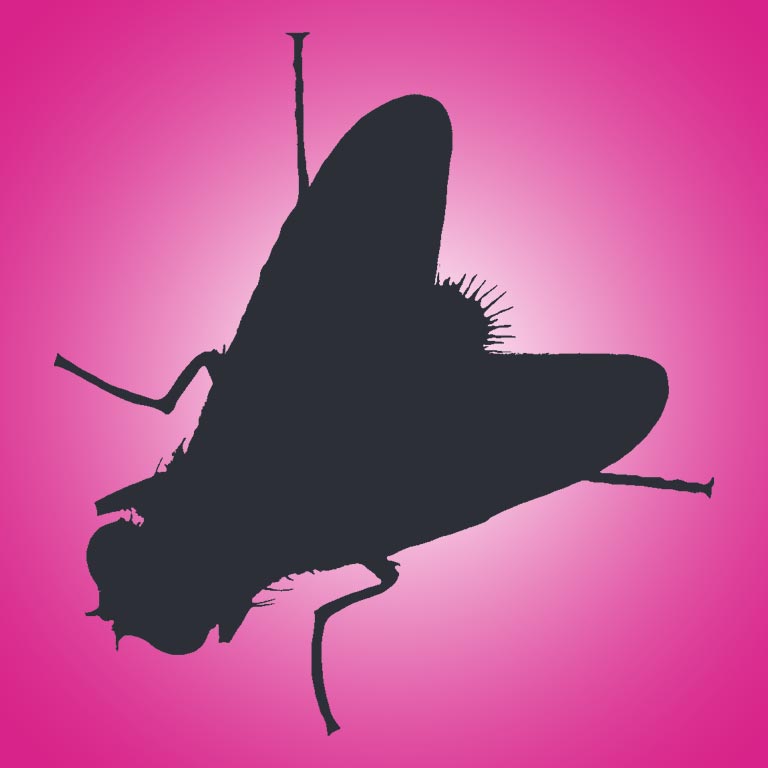 Shadow Shapes Level 222 • Game Solver