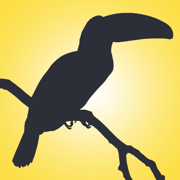 Shadow Shapes Level 111 • Game Solver