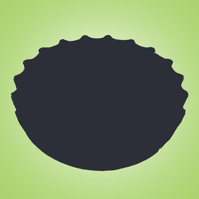 Shadow Shapes Level 13 • Game Solver