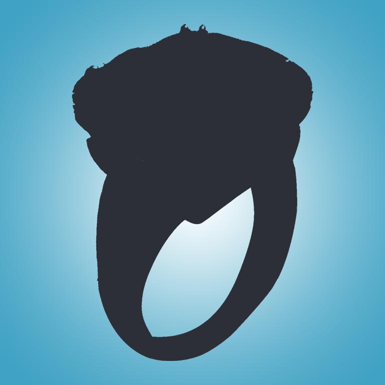 Shadow Shapes Level 298 • Game Solver