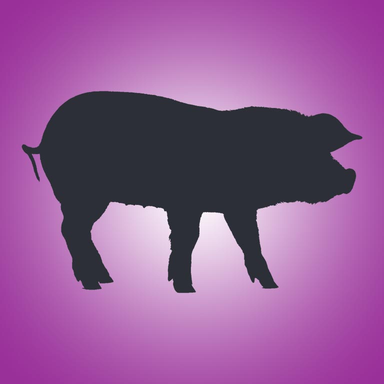 Shadow Shapes Level 360 • Game Solver