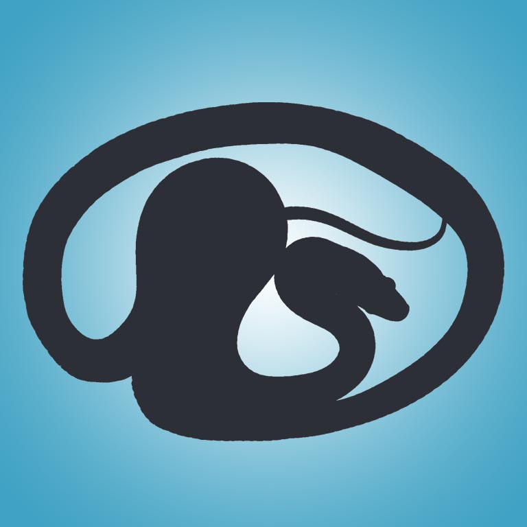 Shadow Shapes Level 50 • Game Solver