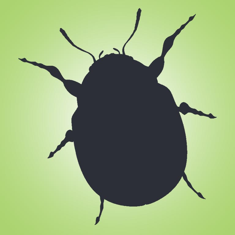 Shadow Shapes Level 58 • Game Solver