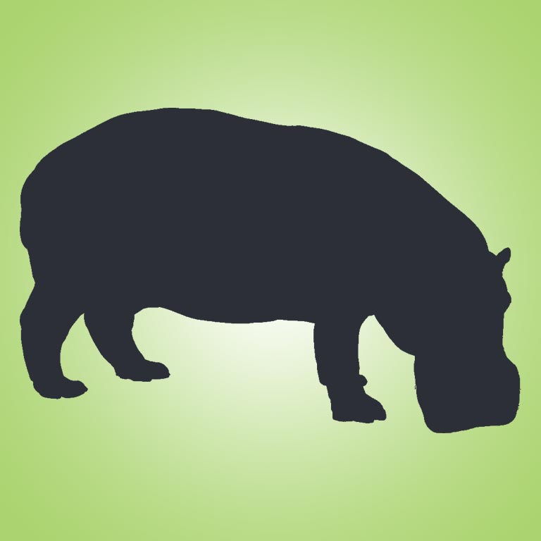 Shadow Shapes Level 112 • Game Solver