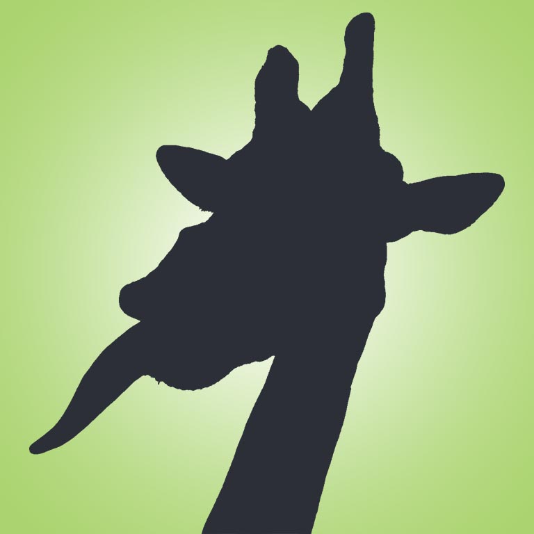 Shadow Shapes Level 3 • Game Solver