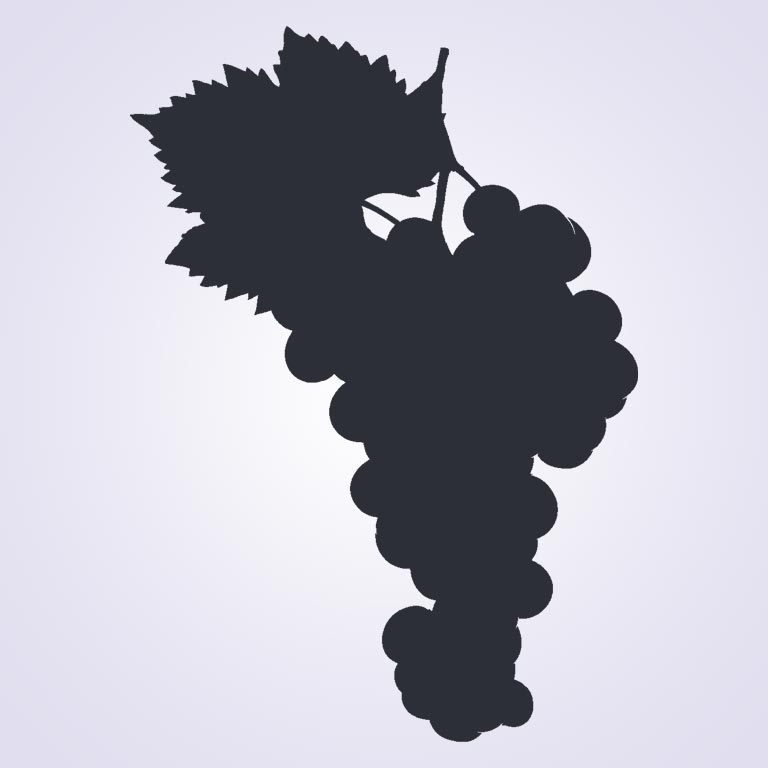 Shadow Shapes Level 72 • Game Solver