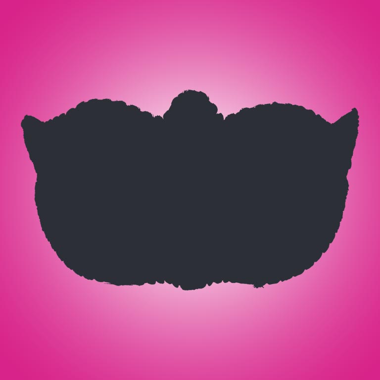 Shadow Shapes Level 71 • Game Solver