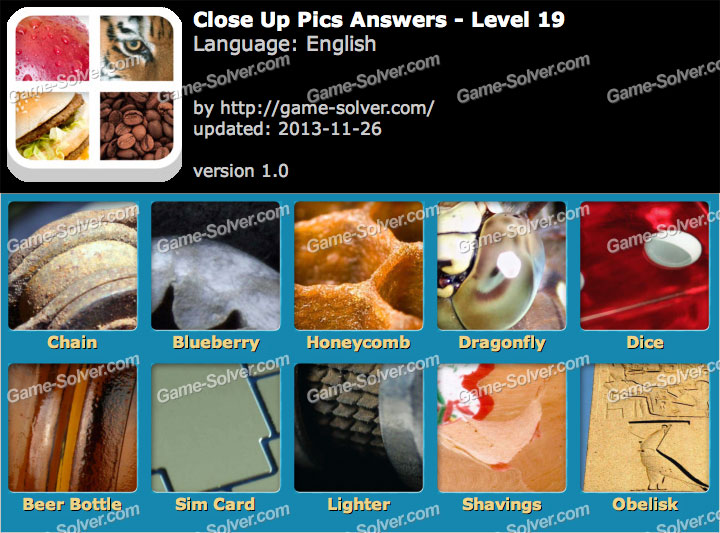 Close Up Pics Level 19 • Game Solver