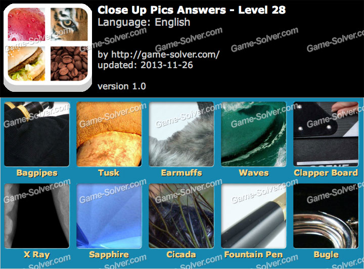 Close Up Pics Level 28 • Game Solver