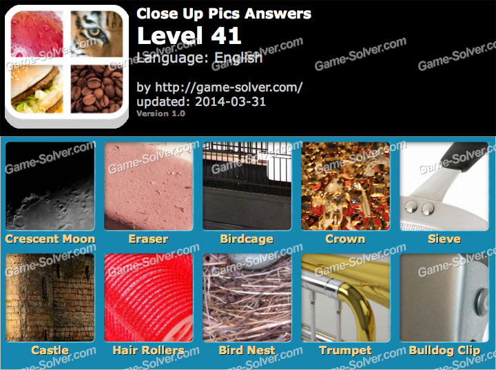 Close Up Pics Level 41 • Game Solver