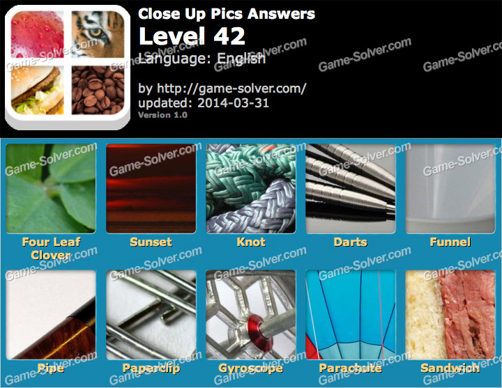 Close Up Pics Level 42 • Game Solver