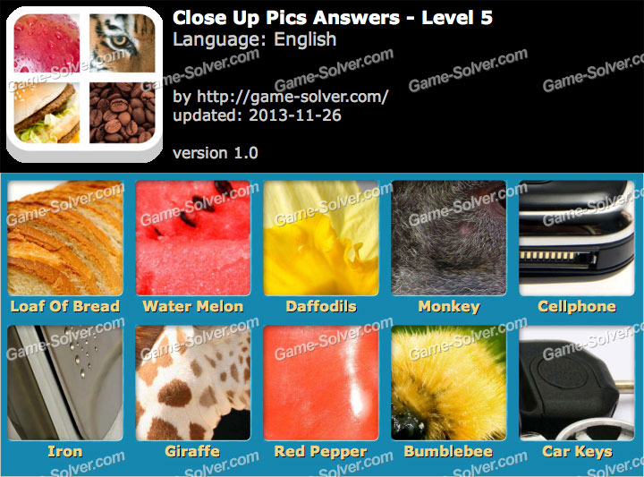 Close Up Pics Level 5 • Game Solver