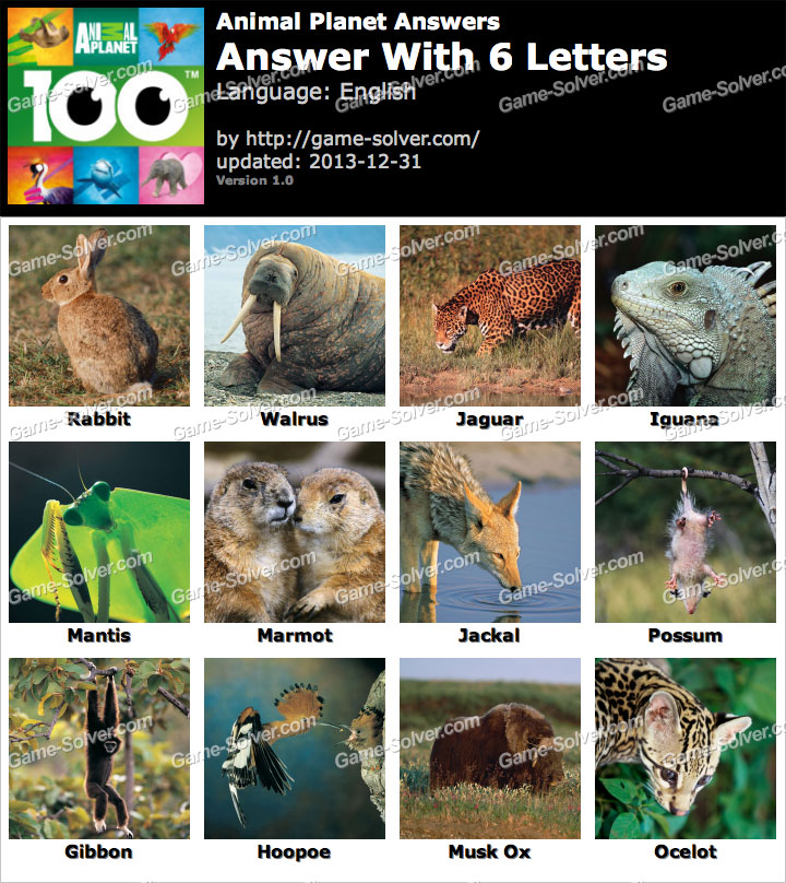 Five Letter Animals Levelings
