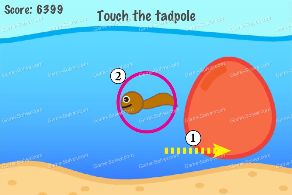 Impossible Test Water Touch The Tadpole • Game Solver