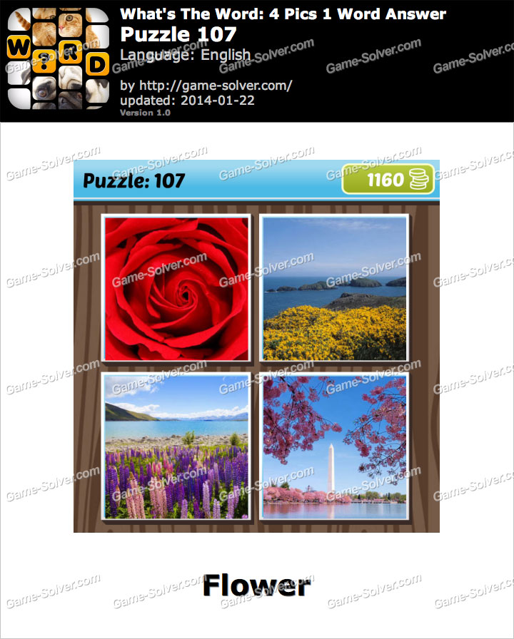 What's The Word Puzzle 107 • Game Solver