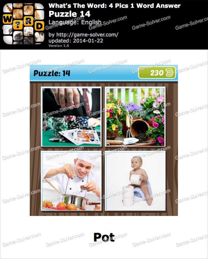 What's The Word Puzzle 14 • Game Solver