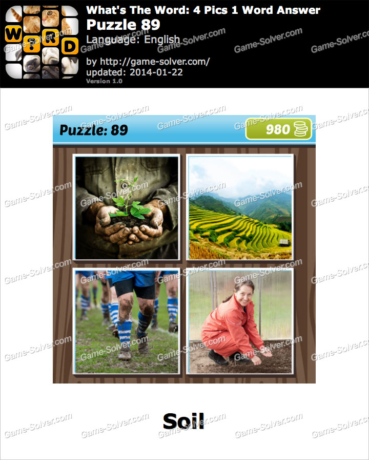 What's The Word Puzzle 89 • Game Solver