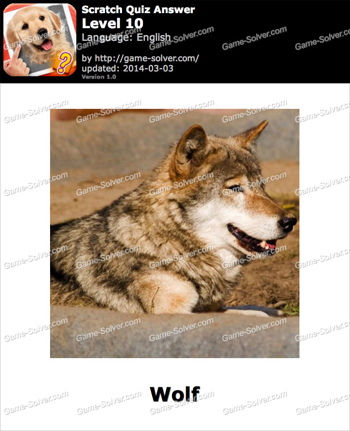 Scratch Quiz Level 10 • Game Solver