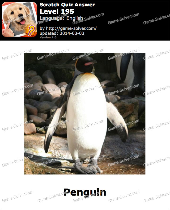 Scratch Quiz Level 195 • Game Solver