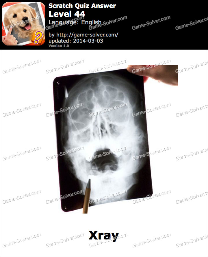 Scratch Quiz Level 44 • Game Solver