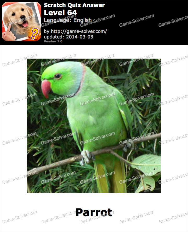 Scratch Quiz Level 64 • Game Solver