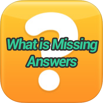 What Is Missing Answers - Game Solver