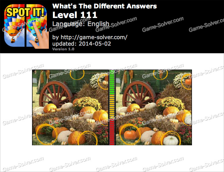 What's The Difference Level 111 • Game Solver